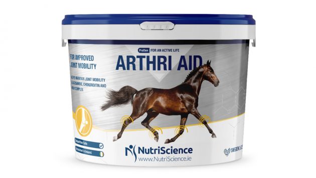 Best joint supplements for older horses | Horse & Hound
