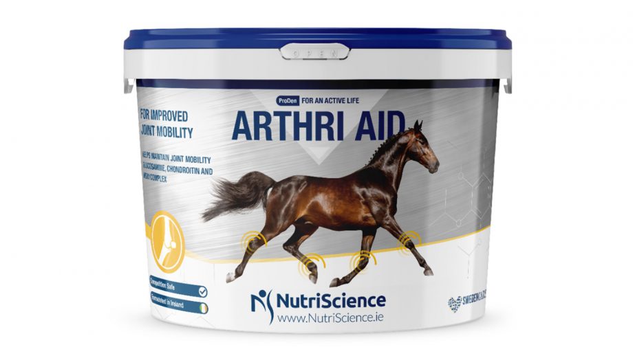 Best joint supplements for older horses | Horse & Hound