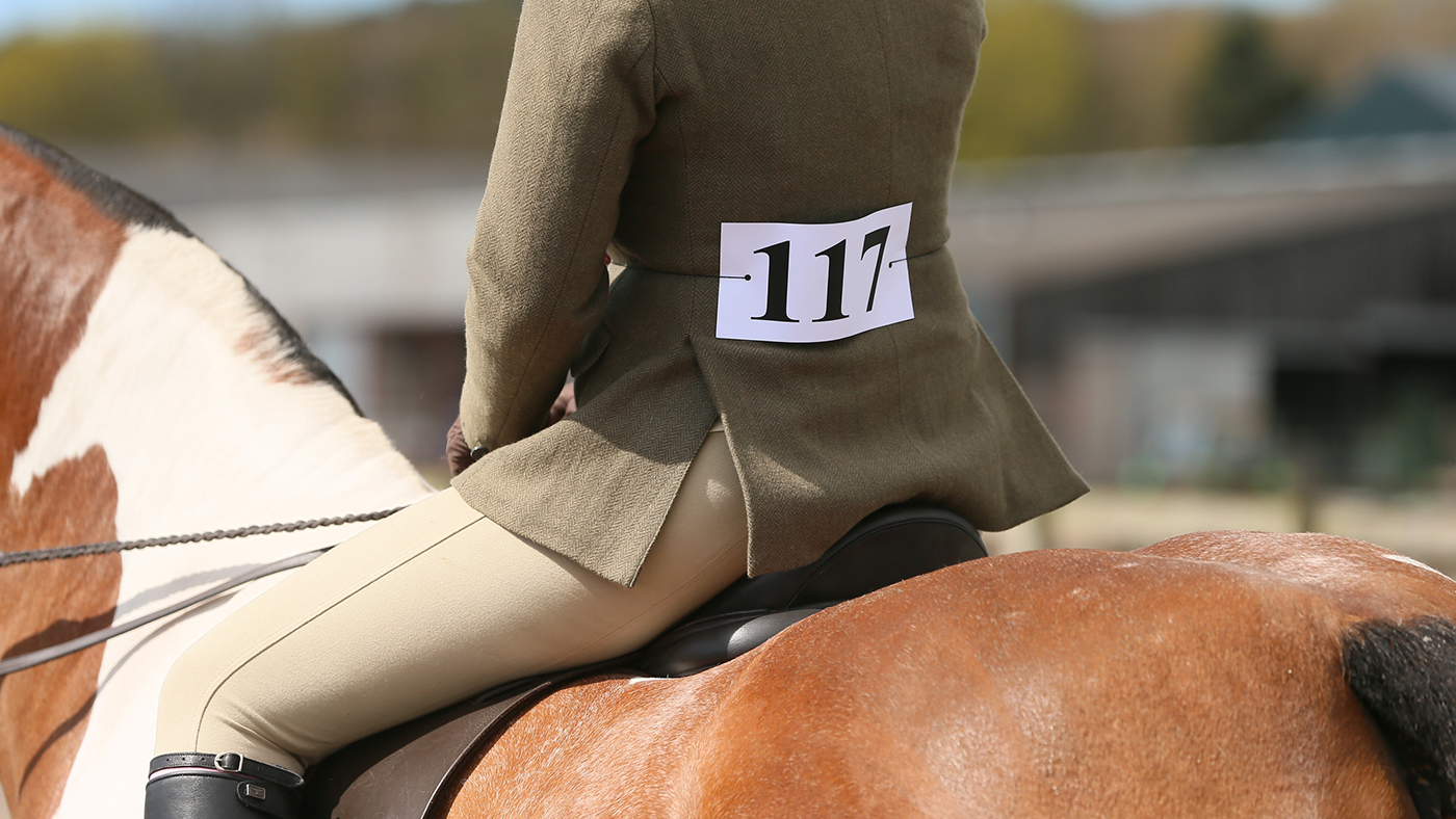 Morean Hamilton to judge coloured ponies at 2023 RIHS - Horse & Hound
