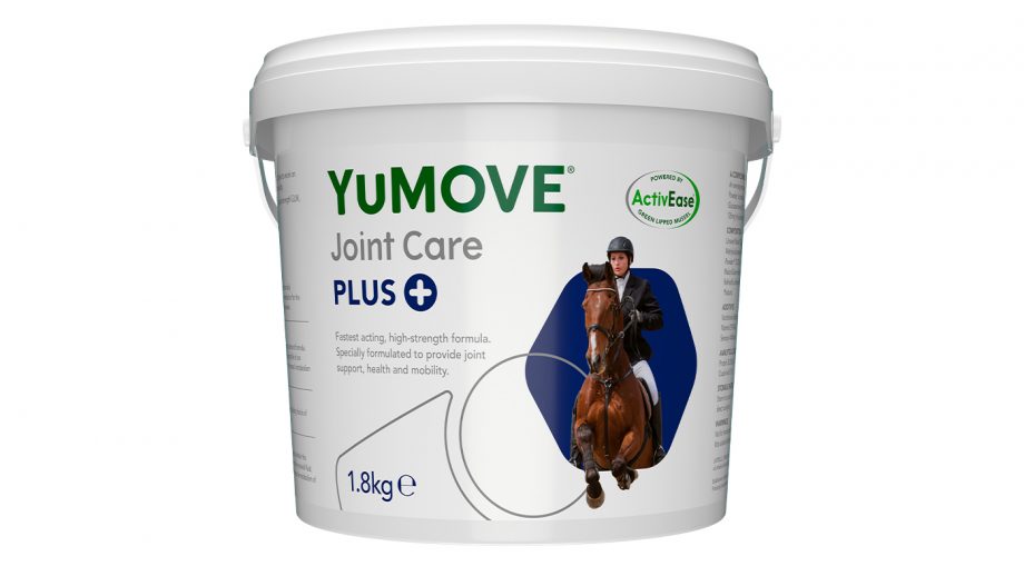 Best joint supplements for older horses | Horse & Hound