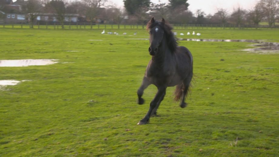 ‘The silence was unsettling’: first on the scene remember Spindles Farm ...