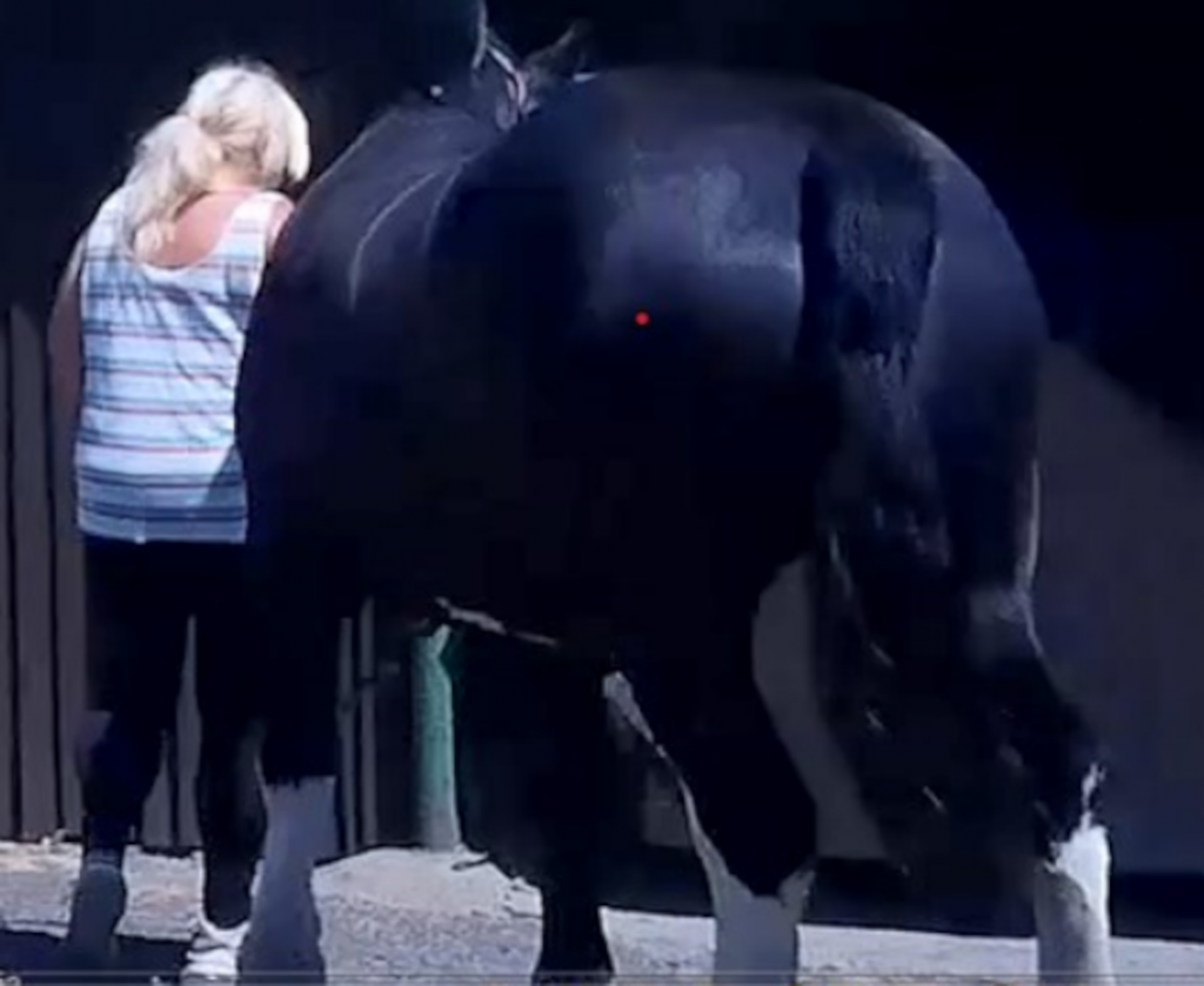 Benefits fraudster who claimed she could barely walk caught thanks to ...