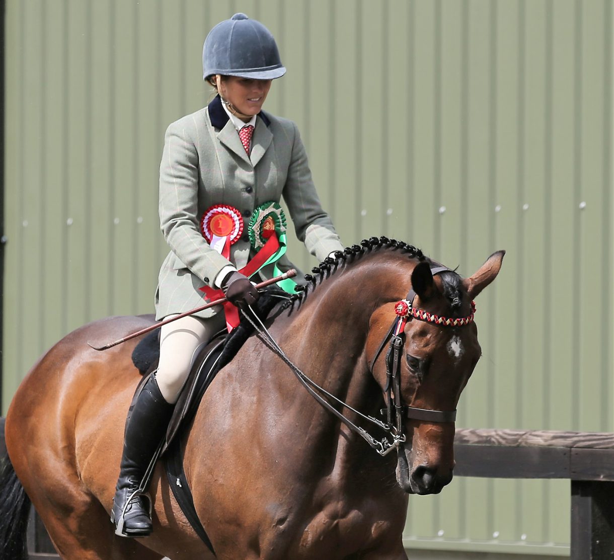 Lady Buttons: find out what this superstar racehorse is up to in retirement