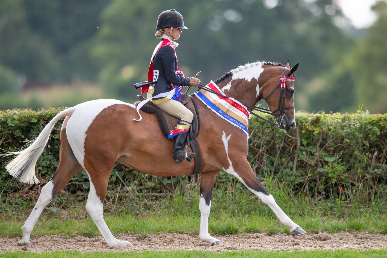 2023 Royal International Horse Show winners | Horse & Hound