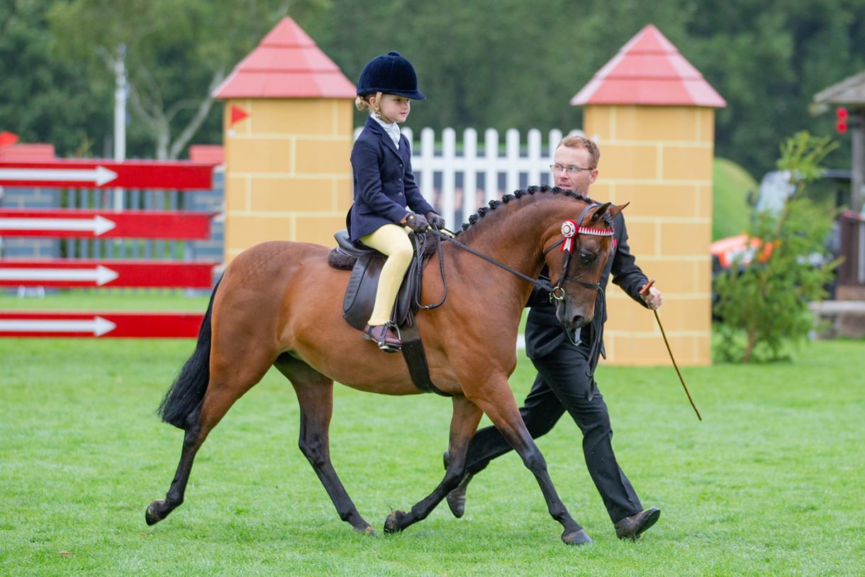 2023 Royal International Horse Show winners | Horse & Hound