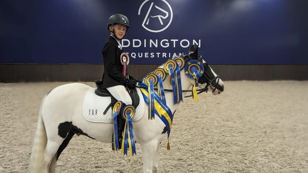 ‘Hard work and patience trump buying success’: RSPCA pony and child who ...