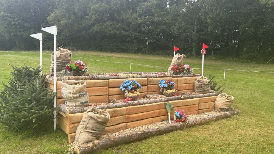 European Eventing Championships cross-country course: fence photos