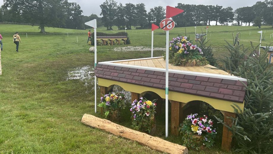 IMG_7032 - Horse & Hound