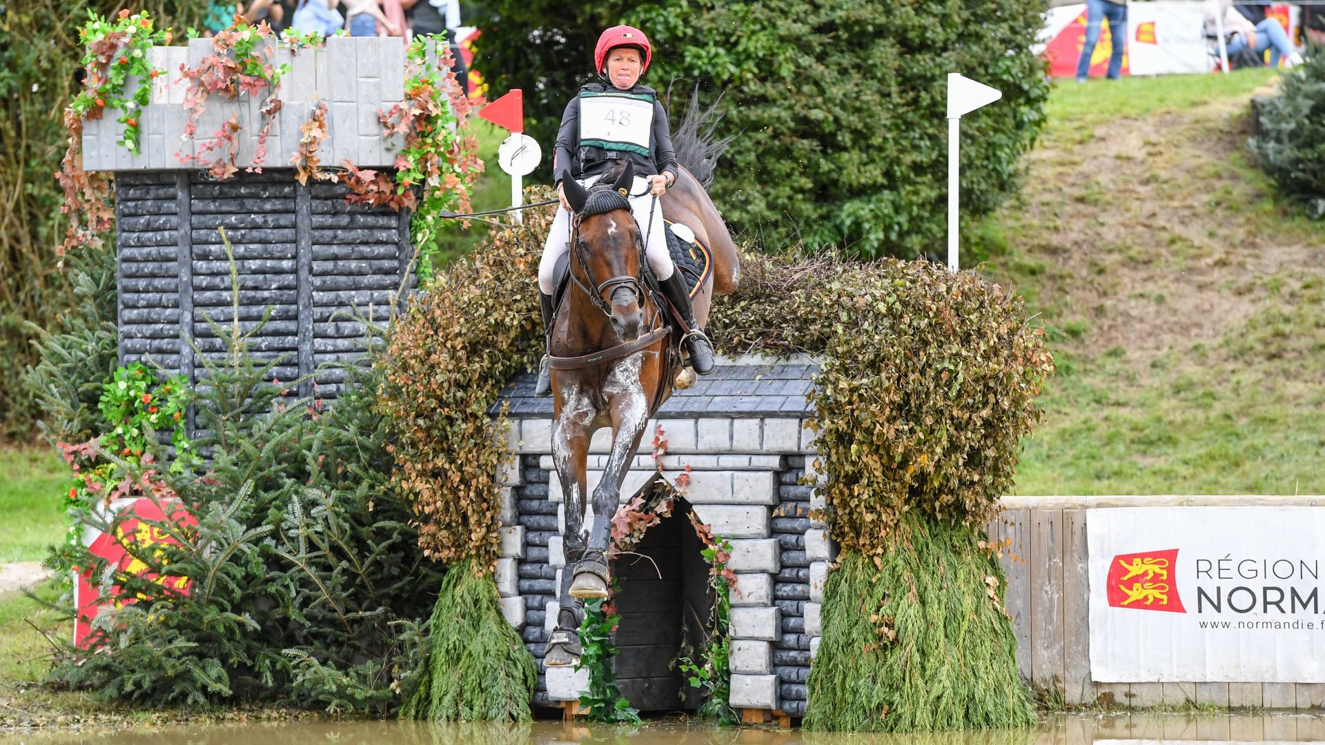 European Eventing Championships final trot-up 2023