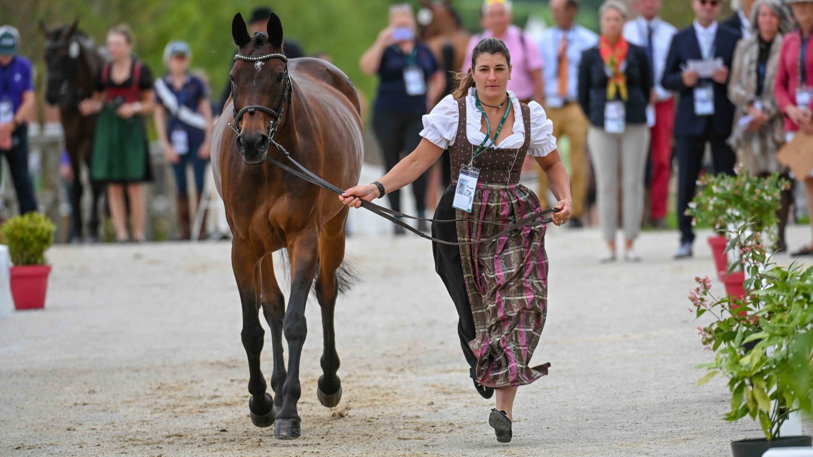 European Eventing Championships first trot-up photos from 2023