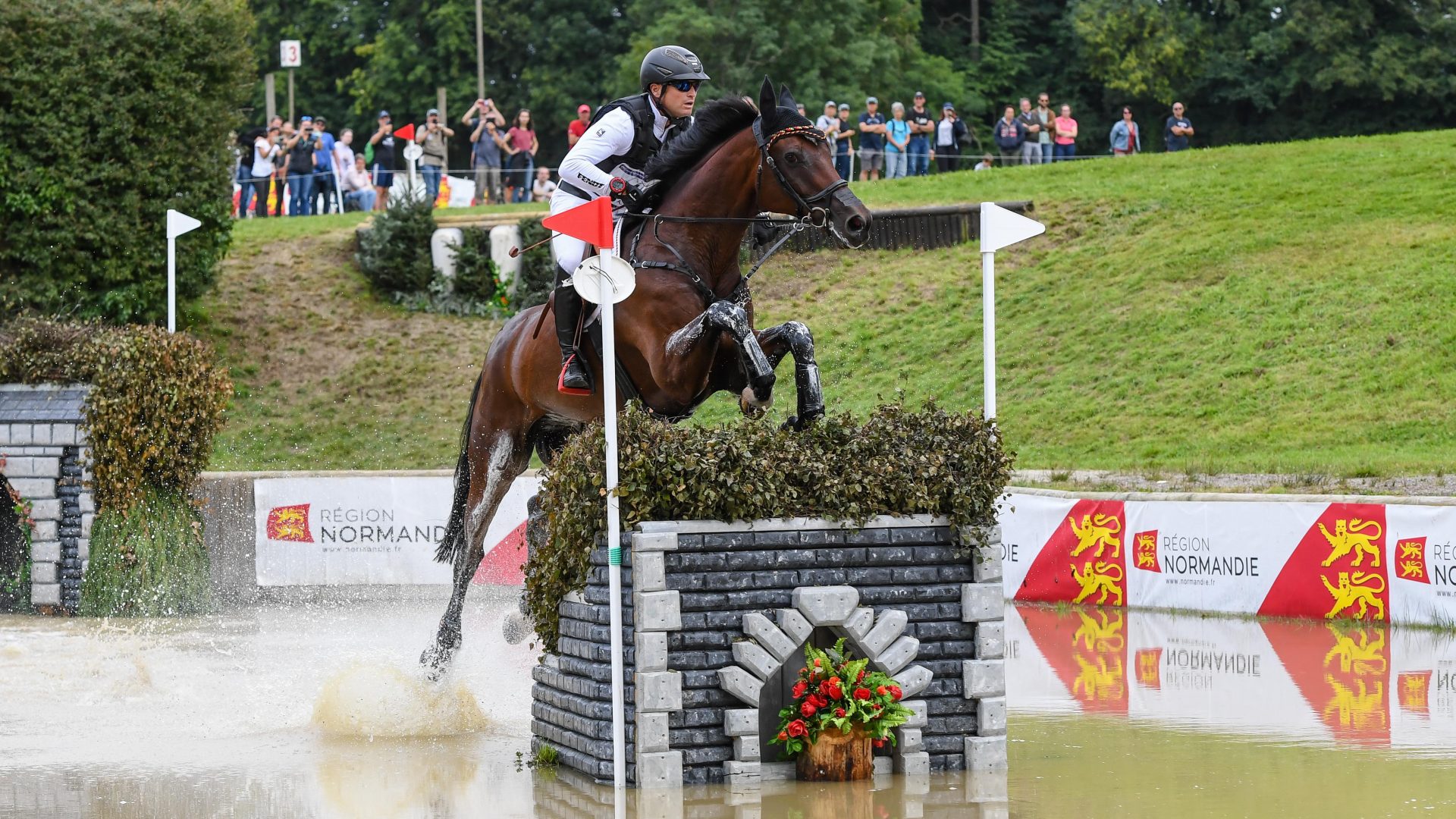 European Eventing Championships Michael Jung on his fall