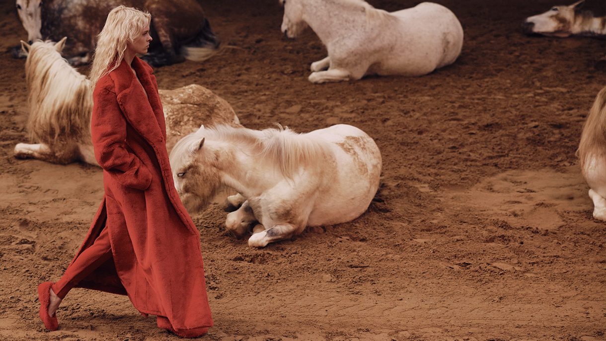 Celebrities who ride horses – some might surprise you | Horse & Hound