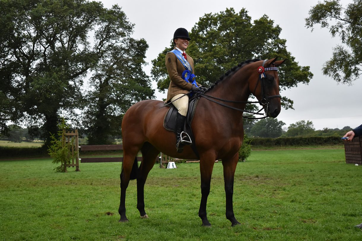 2023 Royal International Horse Show winners | Horse & Hound