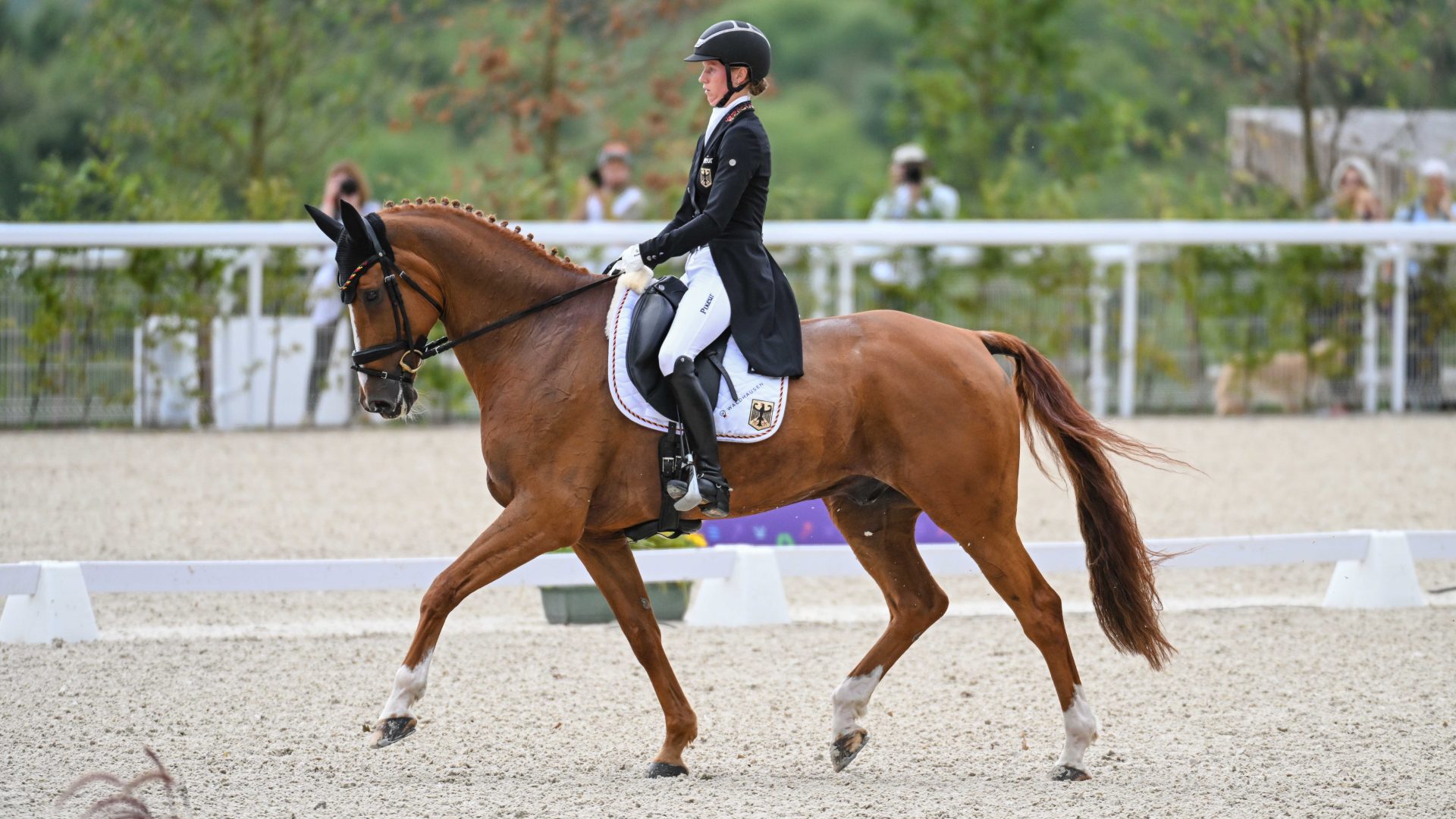 European Eventing Championships dressage: round-up of day two morning