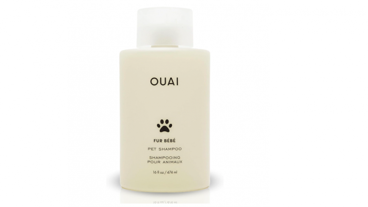Best dog shampoo for smell: eliminate odours, clean dirt and smell sweet