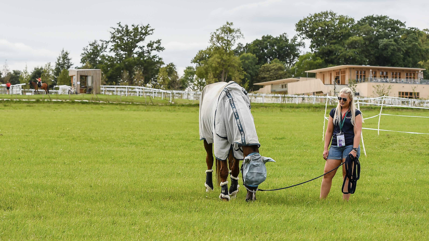 Meet Alison Bell, groom to Yasmin Ingham at the eventing Europeans