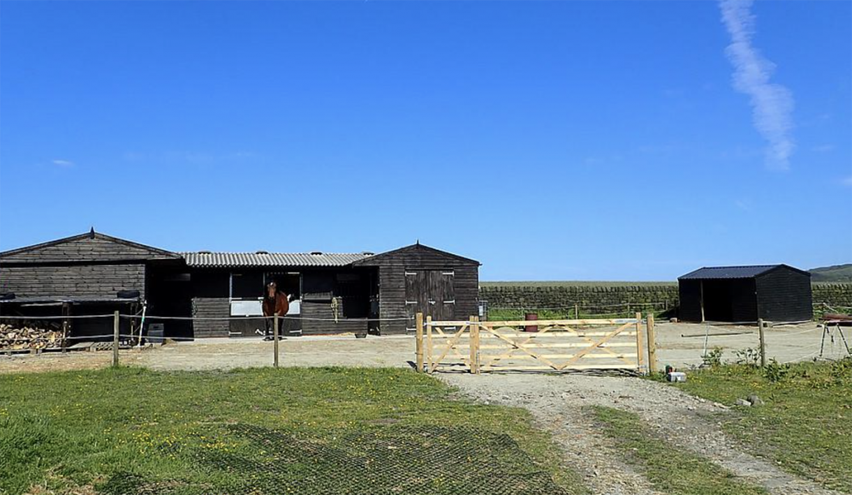 Pay £575,000 for a farmhouse with 3 stables, 8 acres, all-weather ...