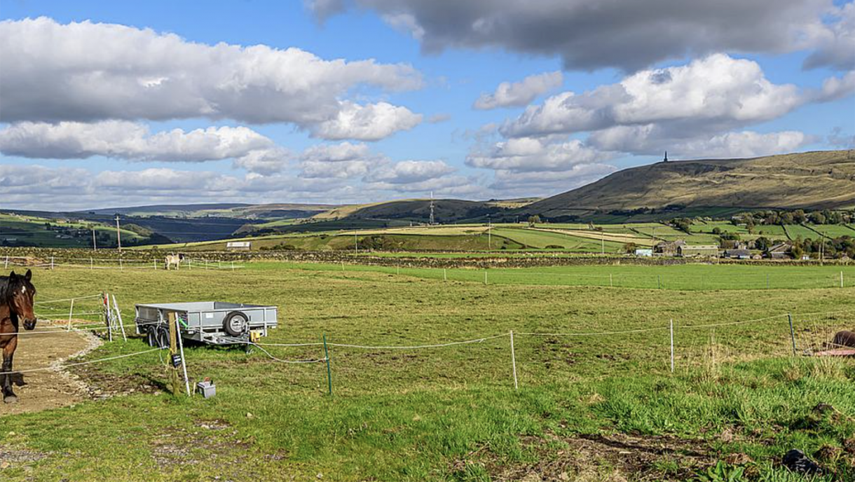 Pay £575,000 for a farmhouse with 3 stables, 8 acres, all-weather ...