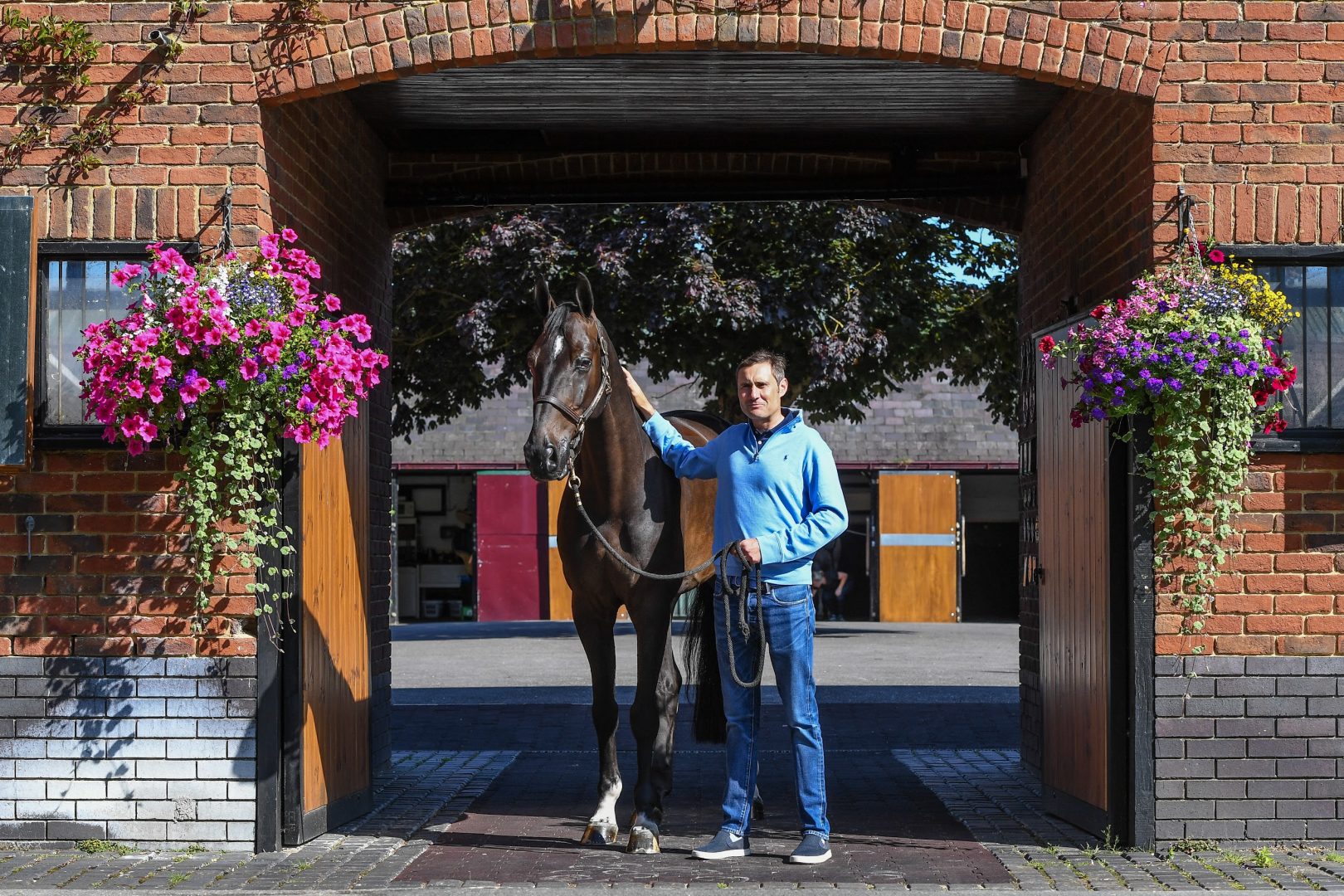 Tim Gredley's stables are the dream set up for a top showjumper