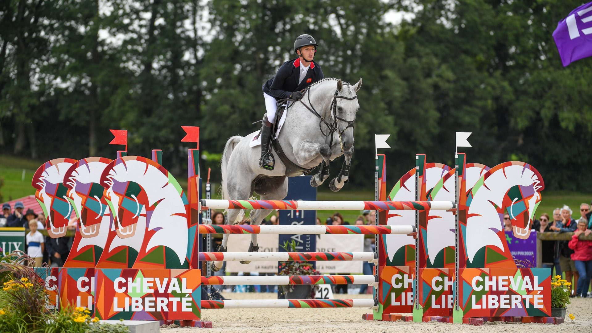 European Eventing Championships showjumping: Tom Jackson completes
