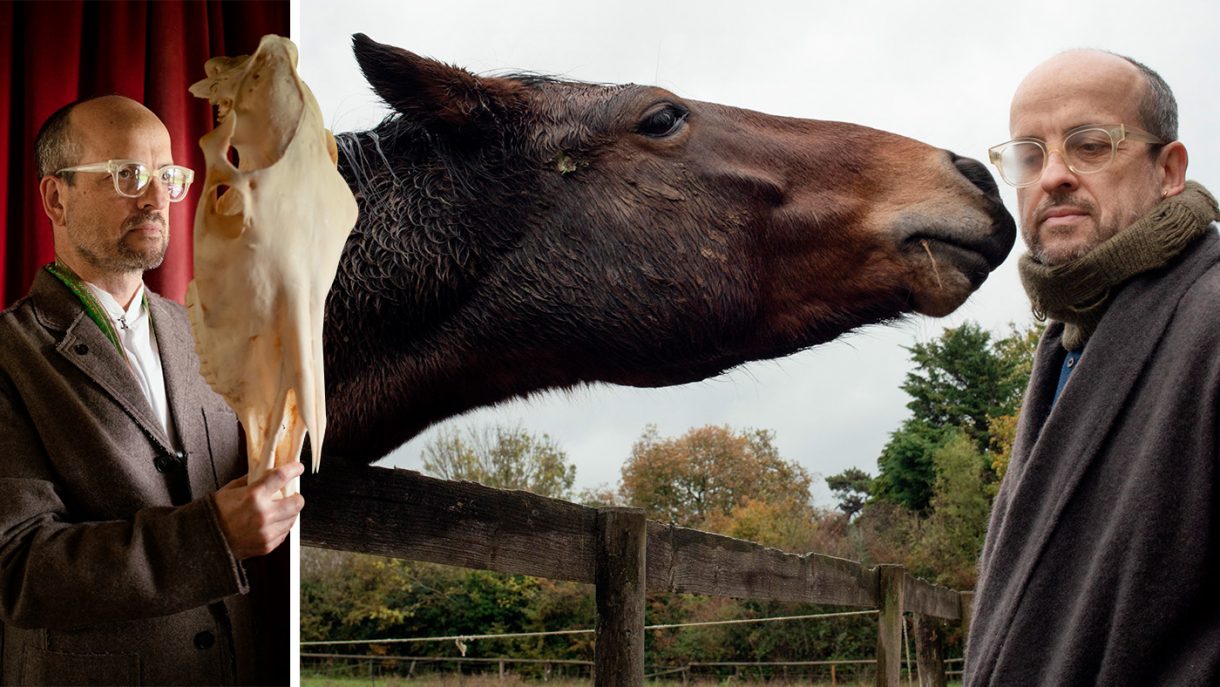 ‘I wanted a T-rex at first!’ Musician creates orchestral album from ...