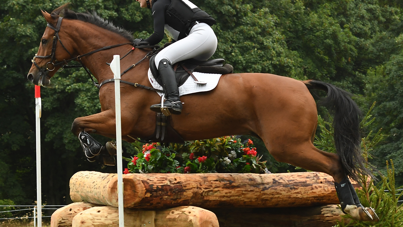 How to buy an eventer: your complete guide | Horse & Hound