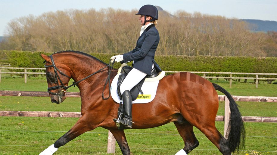 Top 100 event riders - Horse & Hound