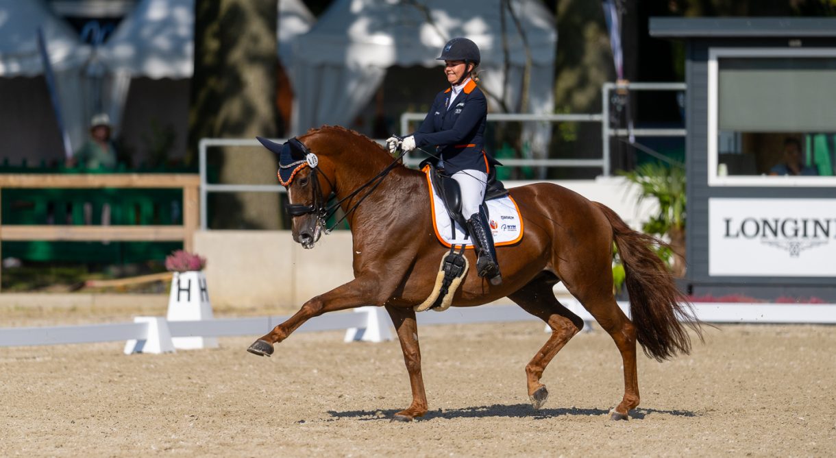 European Para Dressage Championships freestyle: Sophie Wells’ bronze