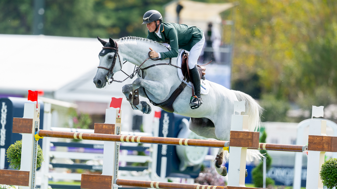 Michael Duffy and Cinca 3 at the European Showjumping Championships