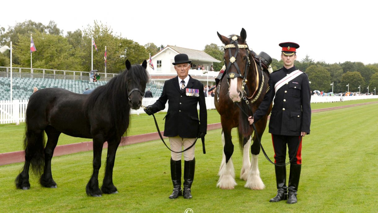 The late Queen’s pony Emma takes centre stage – and eats grass – in new ...