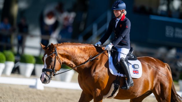 European Para Dressage Championships: midway stage of para team test