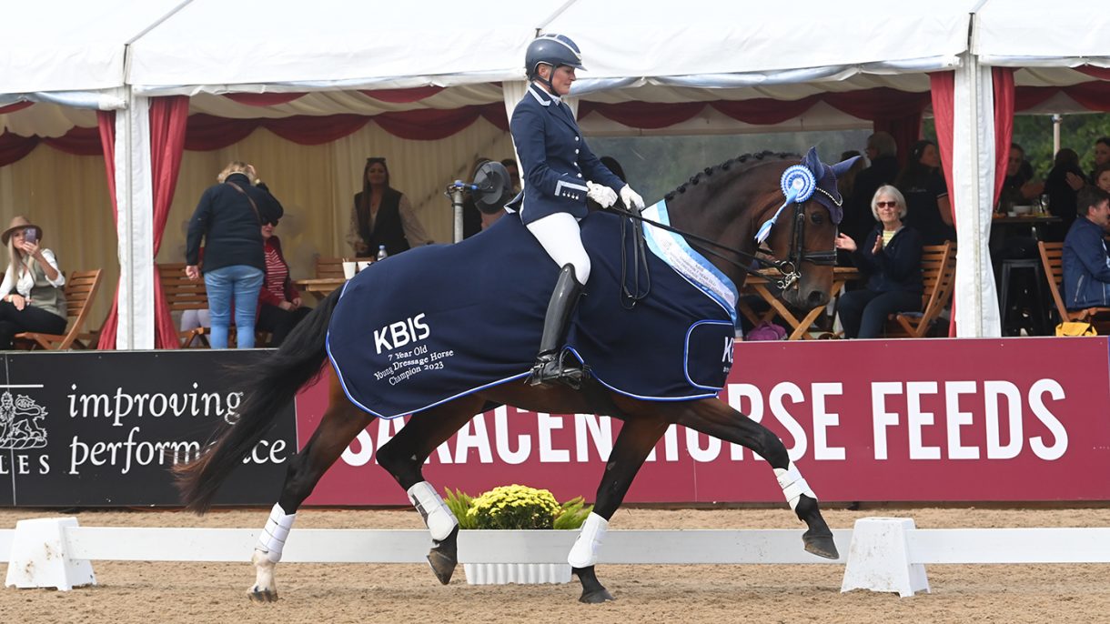 Young horse results from the 2023 National Dressage Championships