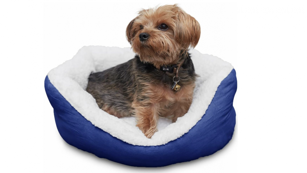 Best dog beds for small dogs: for comfort, cosiness and security