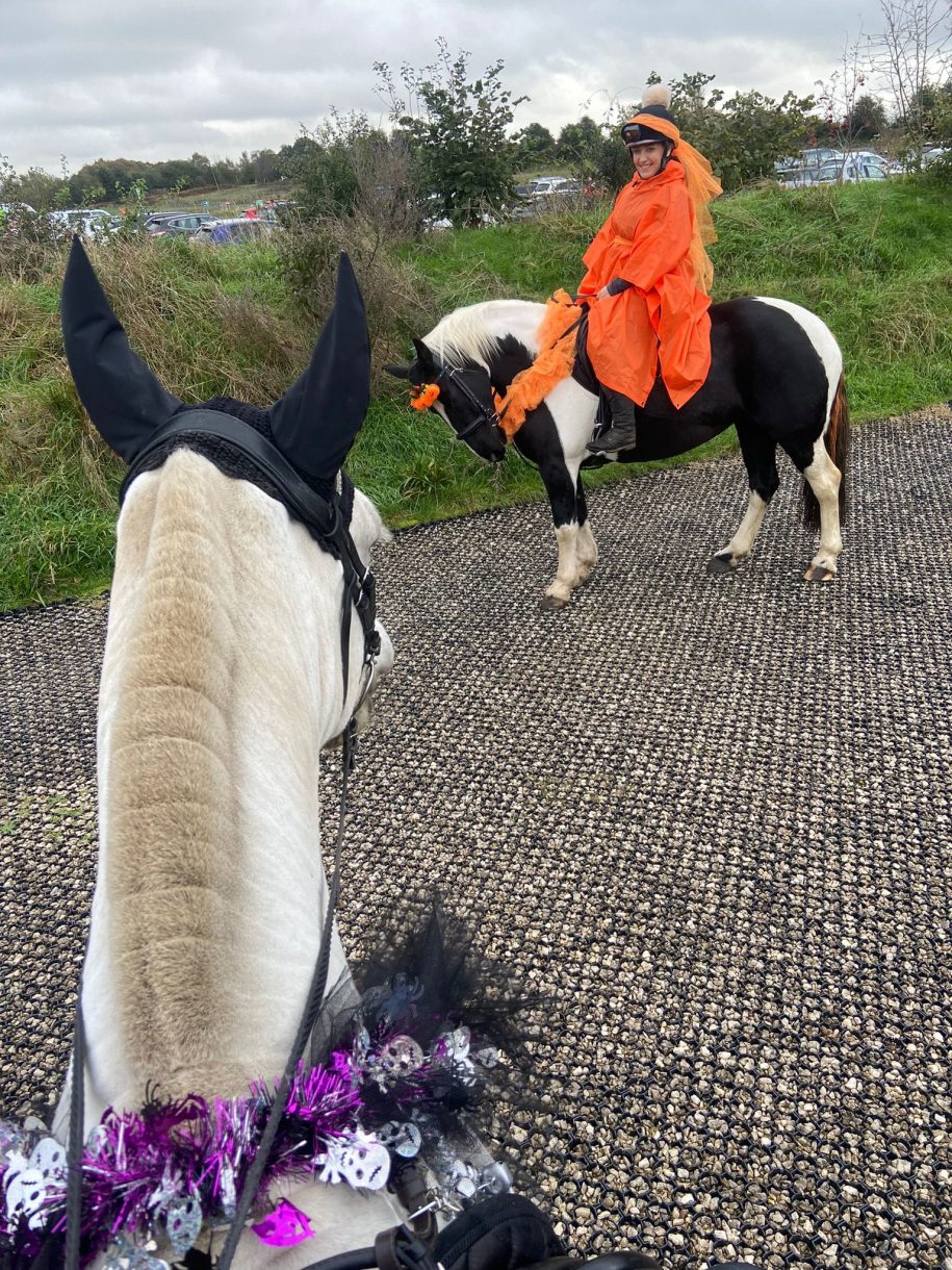 Some devilishly spooktacular horsey halloween costumes