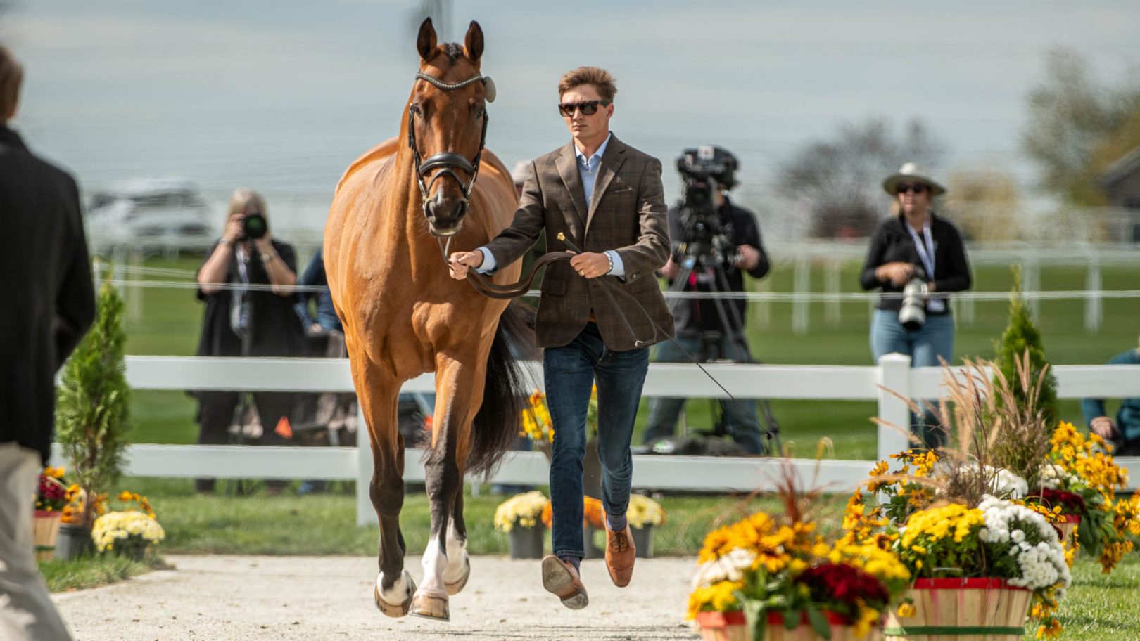 Jacob Fletcher: a five-star debutant riding a horse produced in Britain
