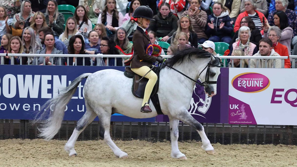 HOYS mini M&M championship: Thistledown San-Siro - Horse & Hound