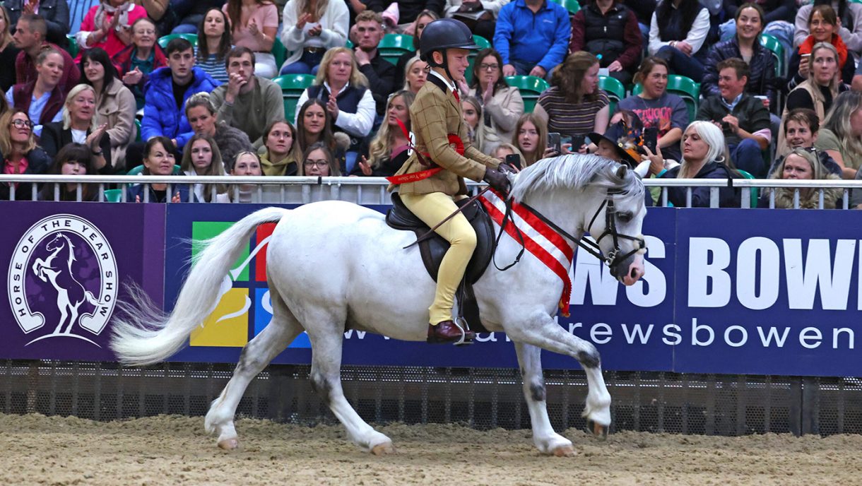 HOYS 122cm working hunter pony winner: Delami Bravado