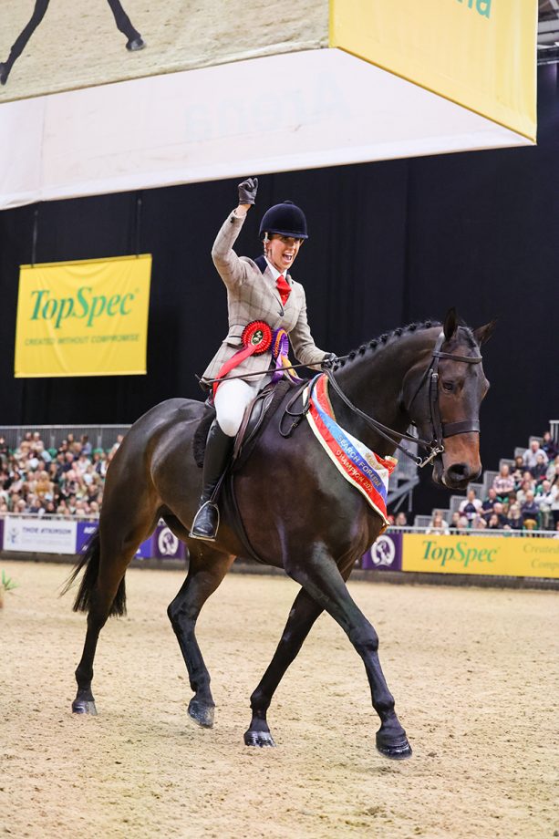 2023 SEIB Search For A Star (SFAS) class winners - Horse & Hound