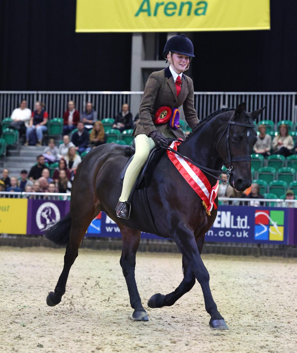 2023 HOYS show hunter pony champion: Morning Sunflower