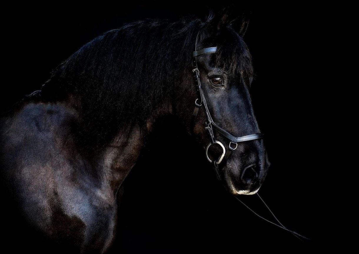 ‘I can’t imagine life without him’: meet 28-year-old former Harrods ...