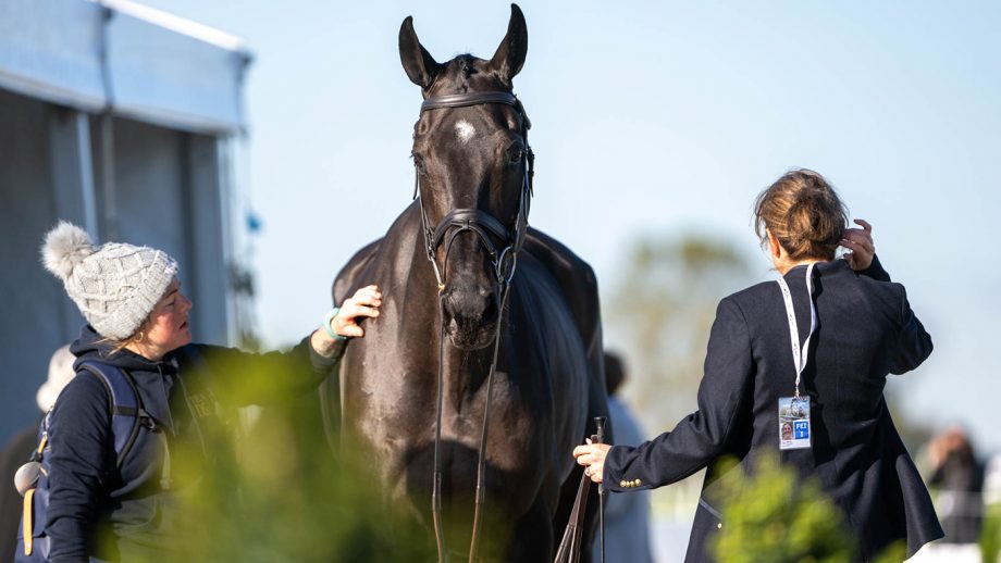 Maryland 5 Star final trot-up: two leave competition including one Brit