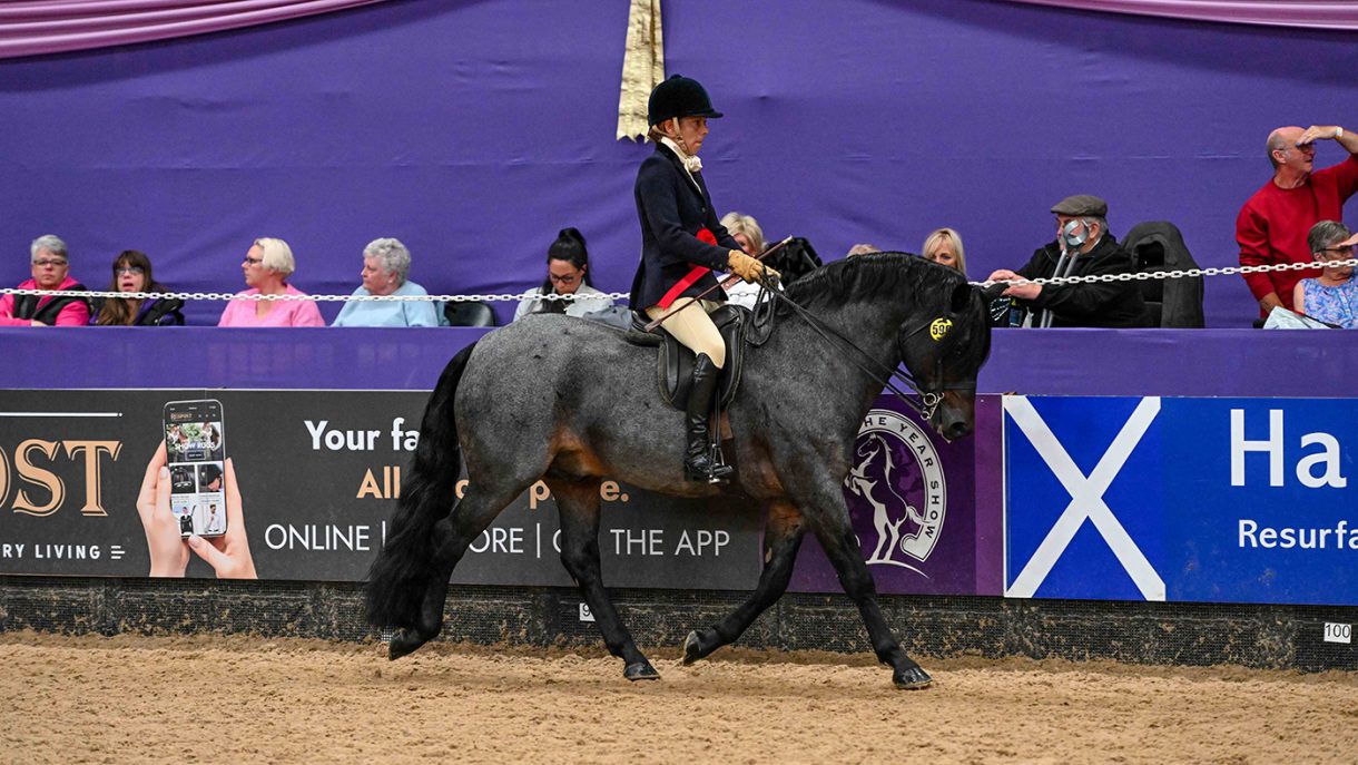 Robert Walker: 2023 HOYS show hunter championship - Horse & Hound