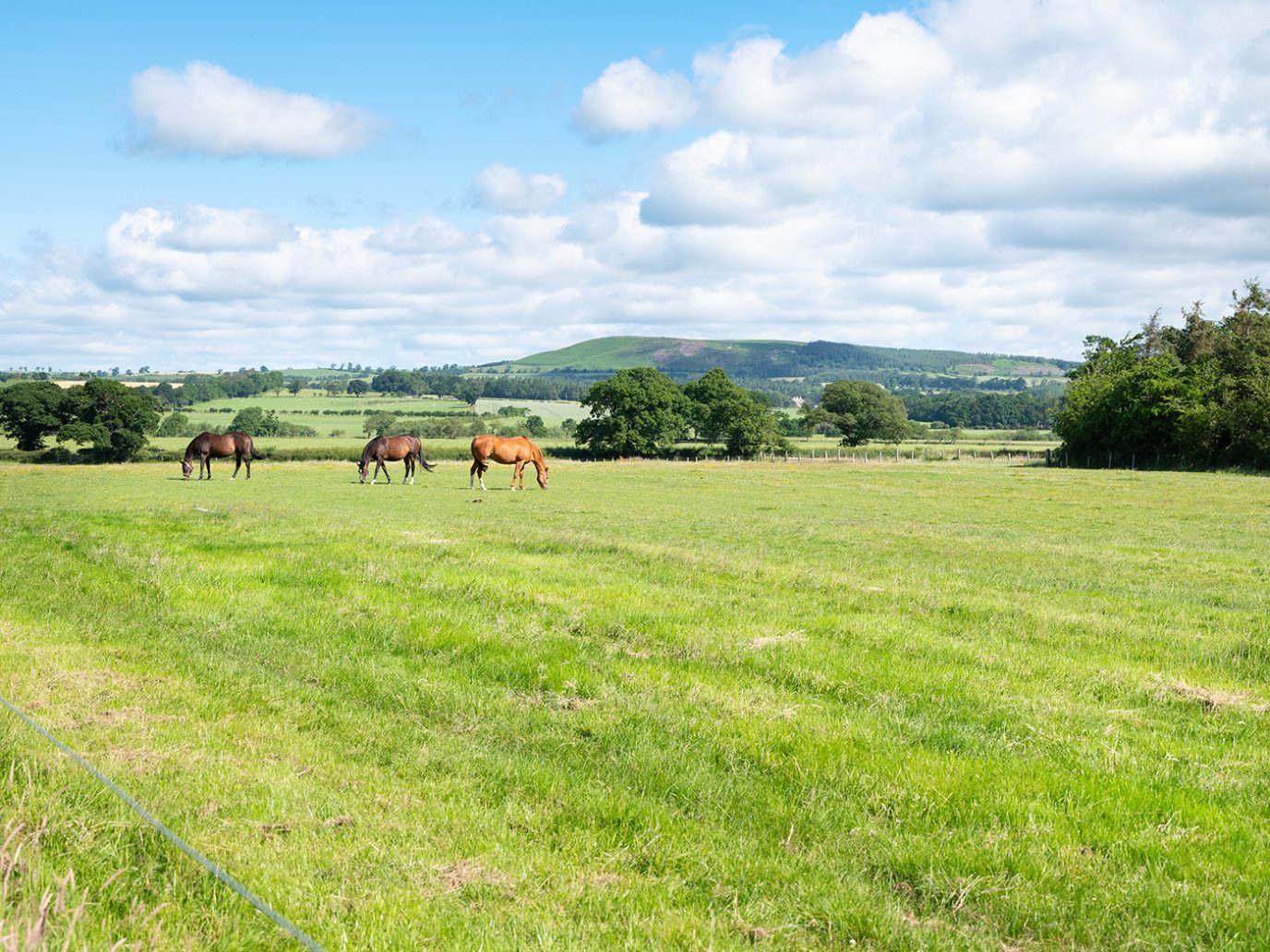 A 156-acre farm with house, stables and additional cottage, situated in ...