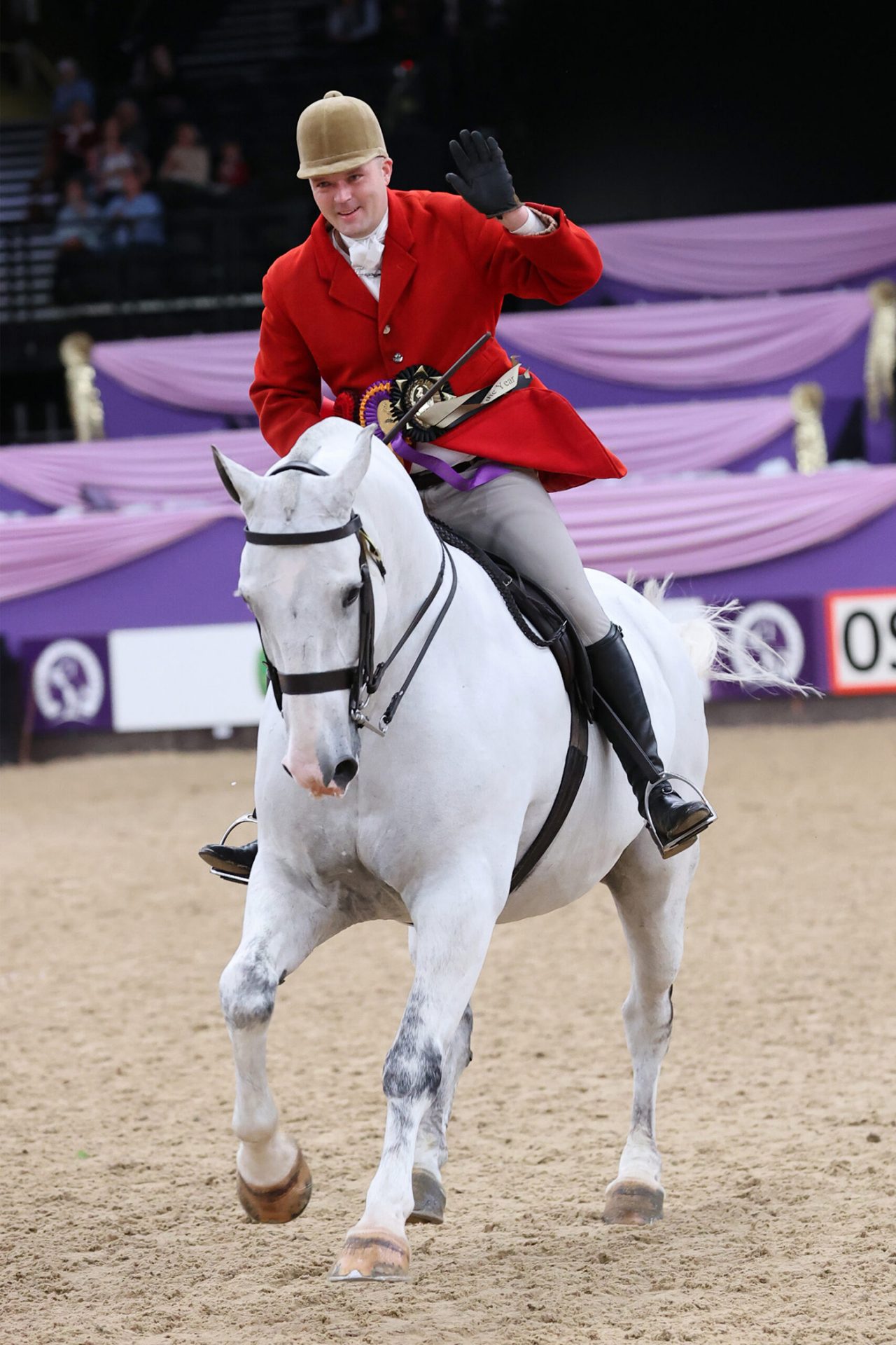 HOYS 2023 winners from the showing classes - Horse & Hound