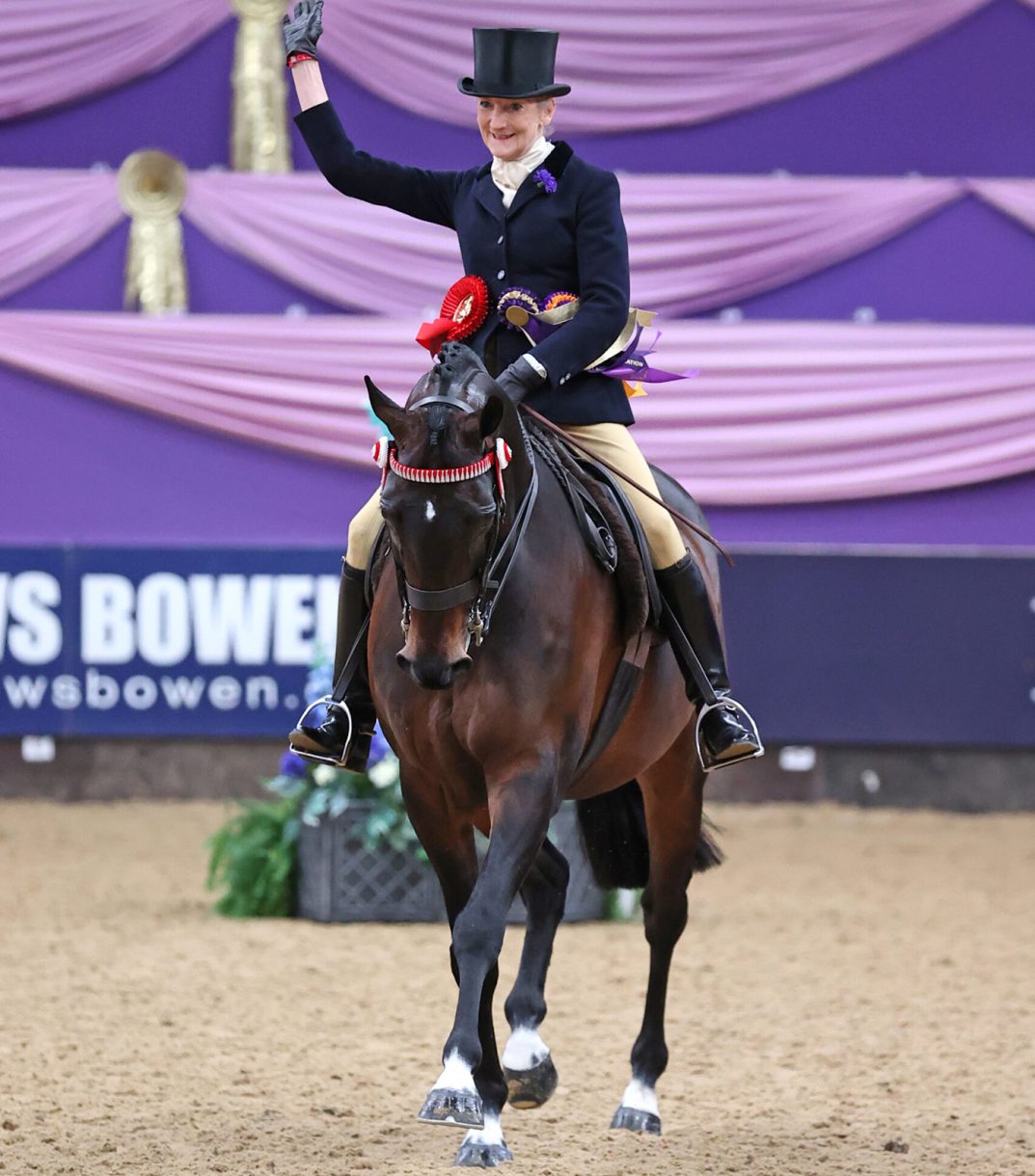 HOYS 2023 riding horse champion: Minella Rebellion - Horse & Hound
