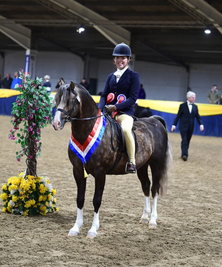 2023 BSPS Heritage championships: meet the winners - Horse & Hound