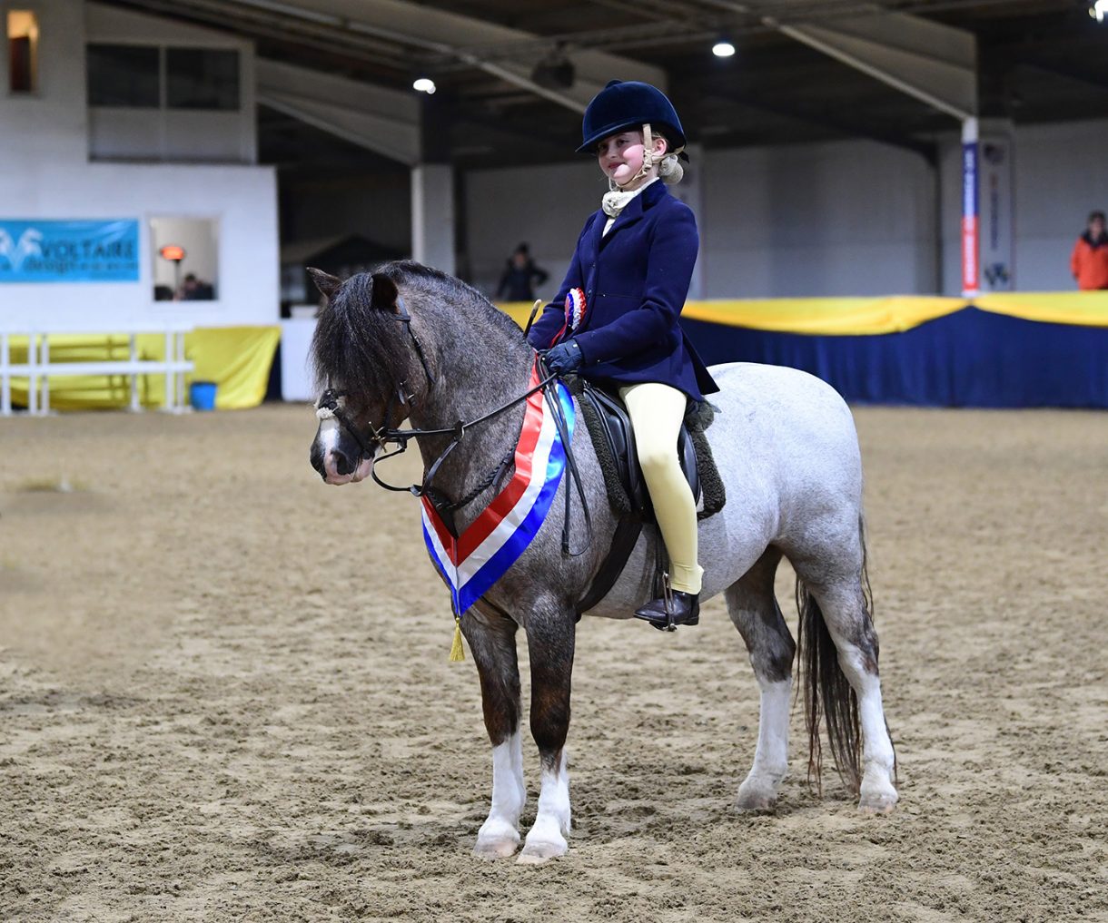 2023 BSPS Heritage championships: meet the winners - Horse & Hound