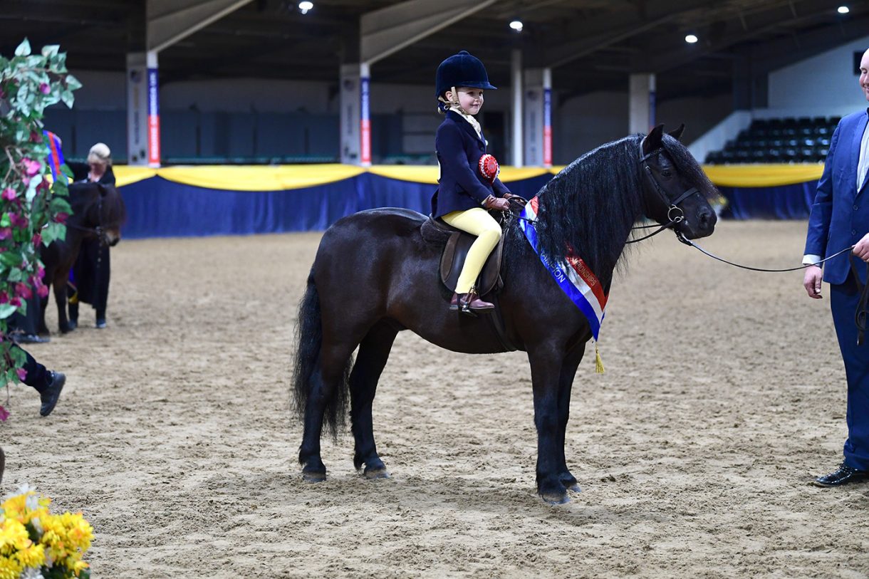 2023 BSPS Heritage championships: meet the winners - Horse & Hound