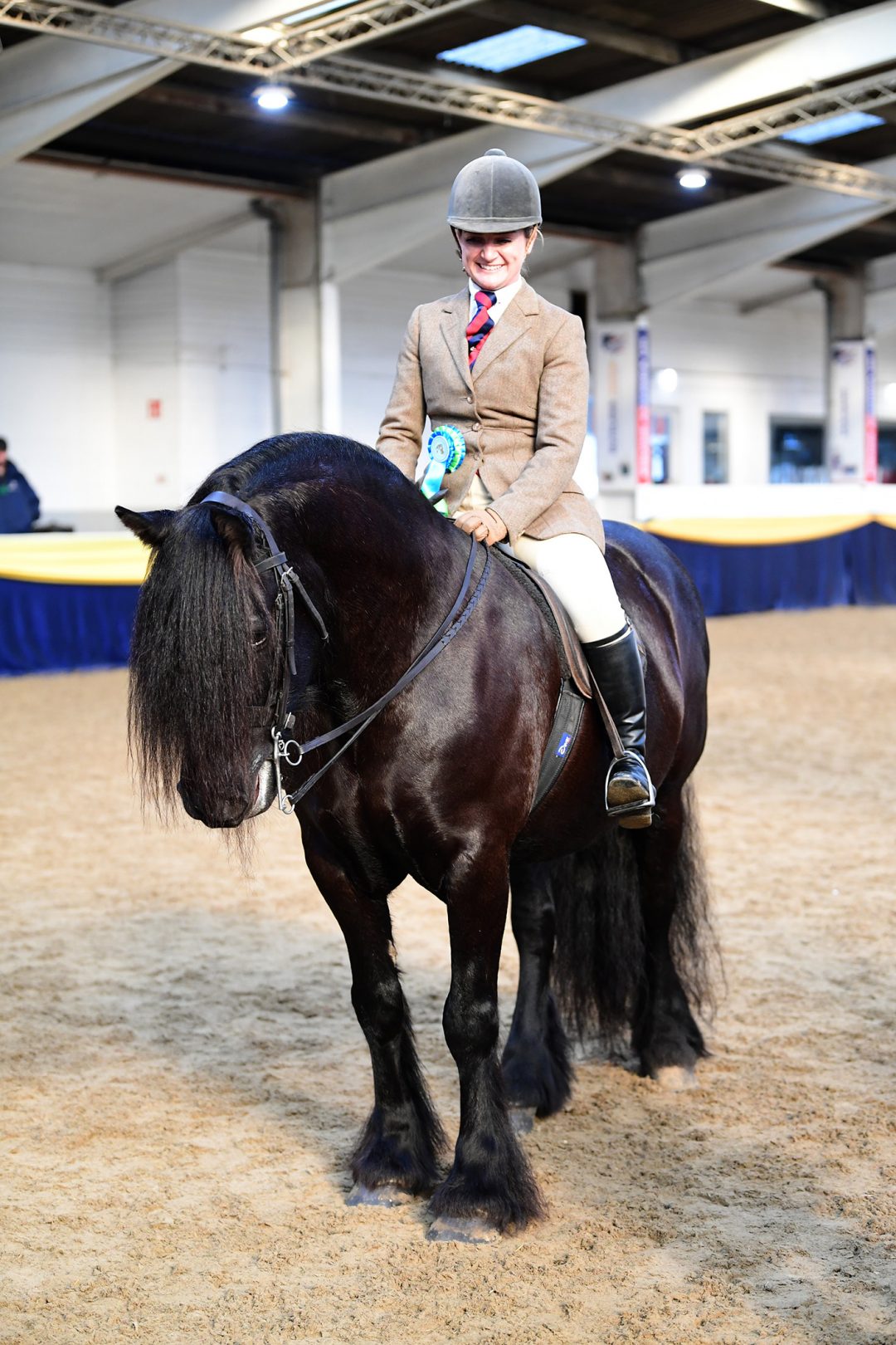 2023 BSPS Heritage championships: meet the winners - Horse & Hound