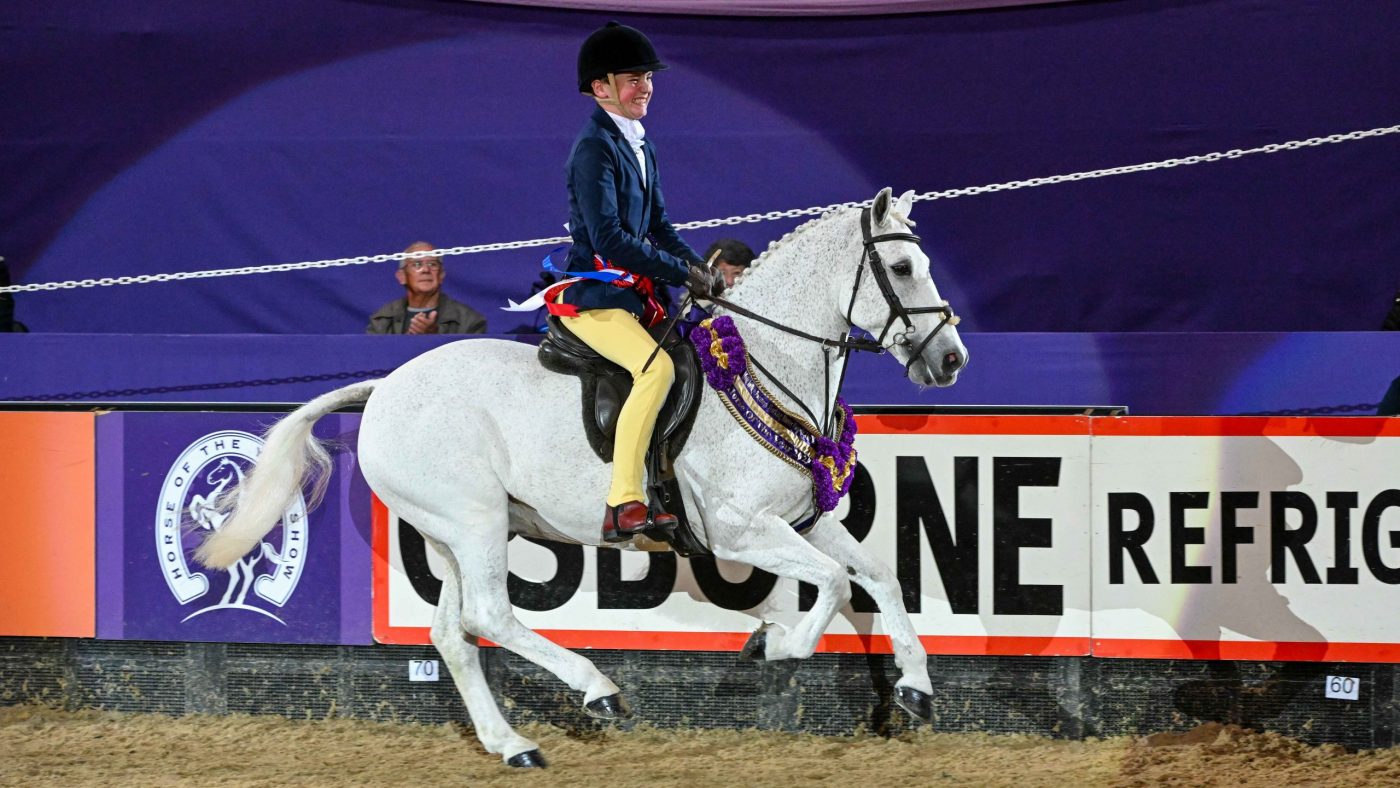 HOYS 2023 working hunter pony of the year: Barney IX - Horse & Hound